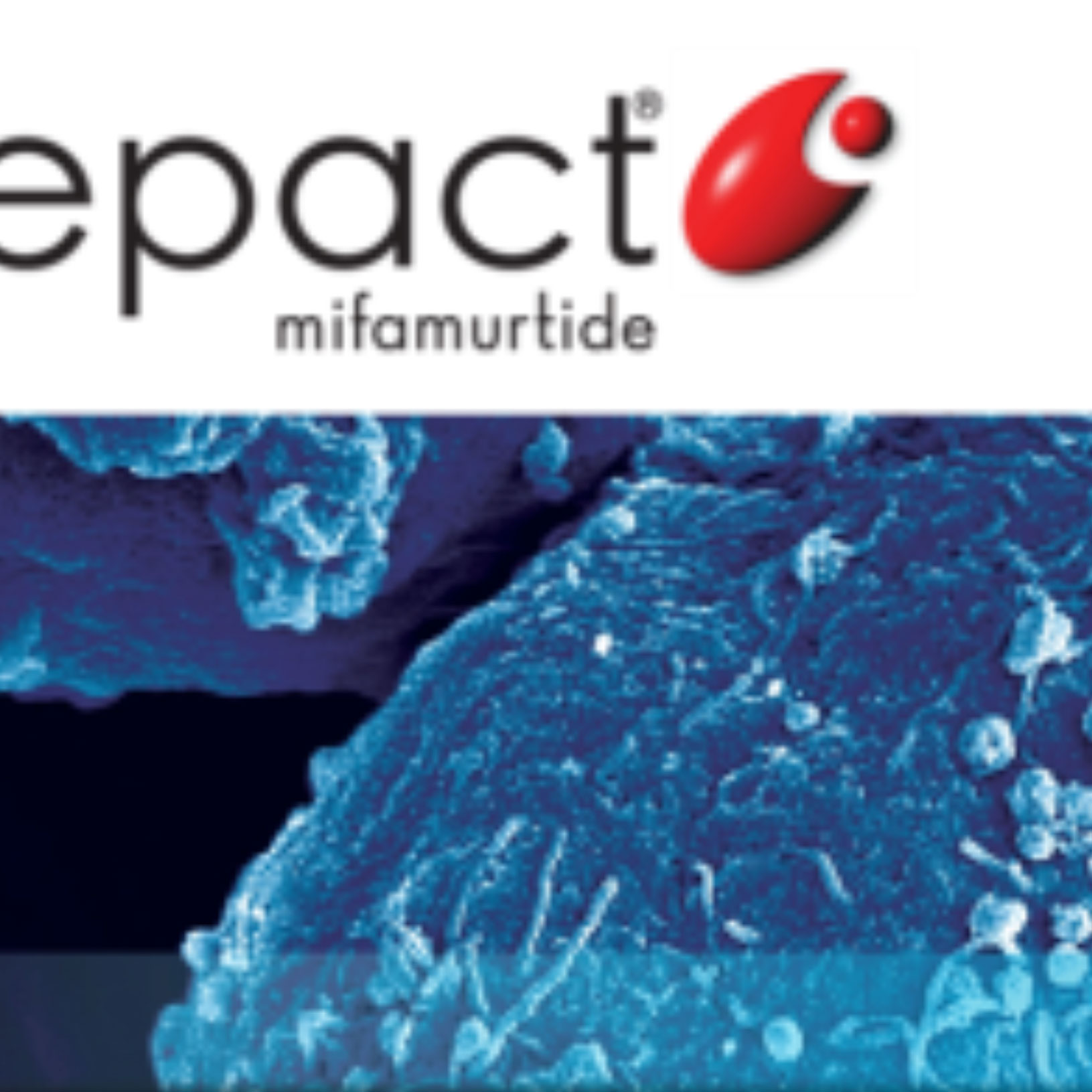 Kindle Communications